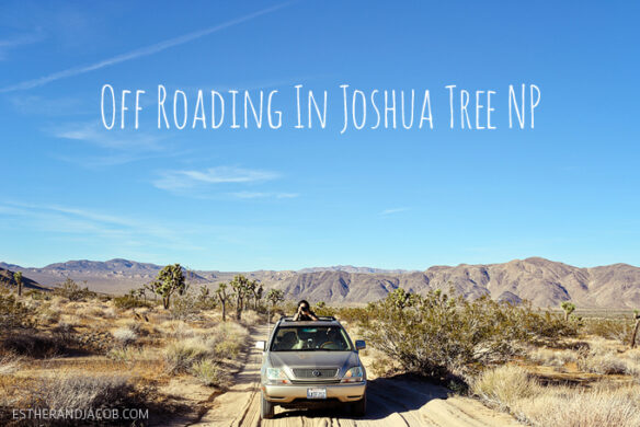 Off Roading in Joshua Tree National Park » Local Adventurer » Travel ...
