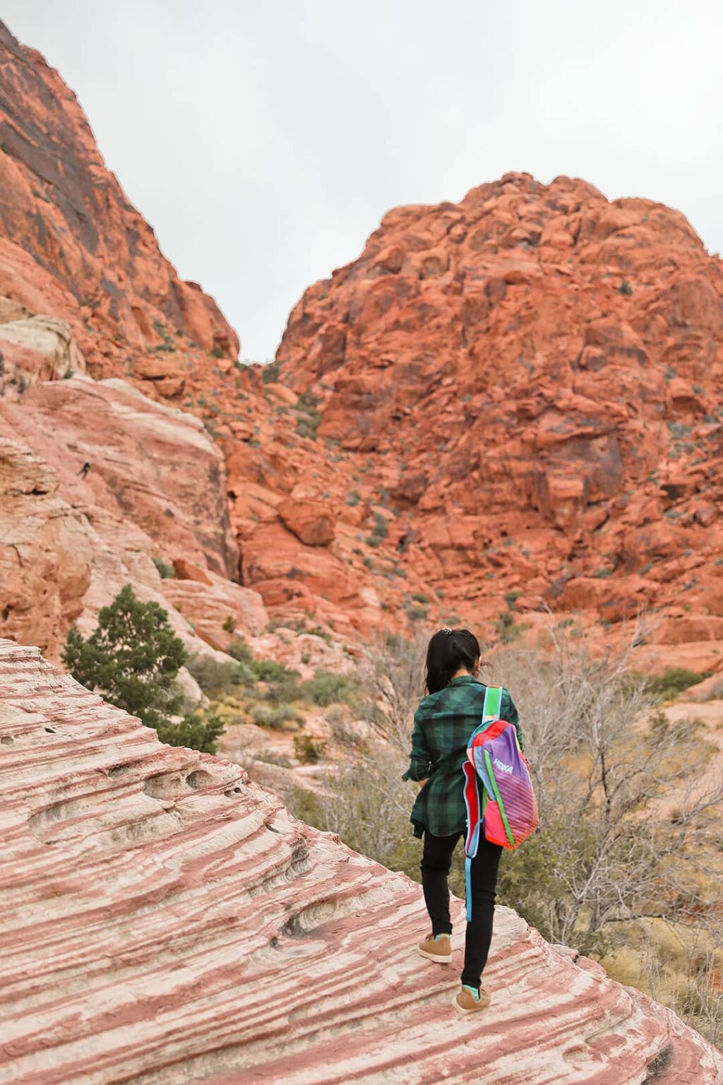 7 Best Things to Do in Red Rock Canyon National Recreation Area