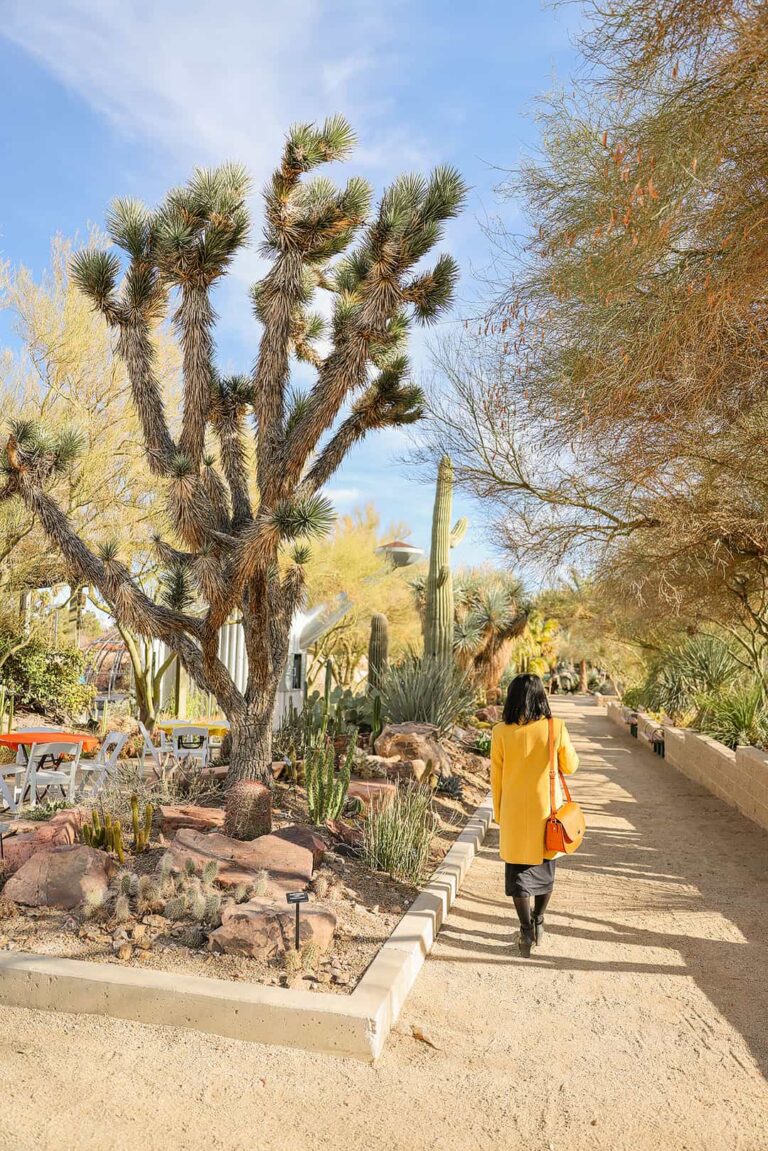 Springs Preserve Las Vegas - What You Need to Know Before You Go