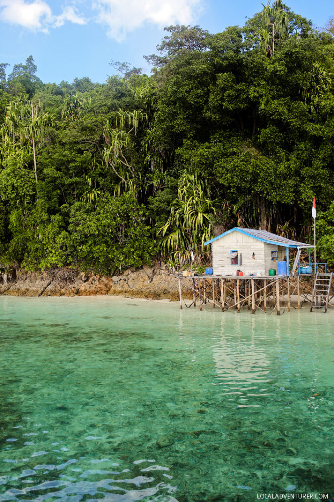 Swimming with Stingless Jellyfish in Jellyfish Lake Kakaban