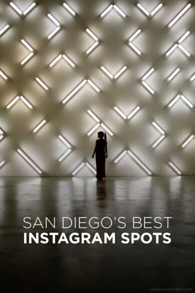 Most Popular Instagram Spots in San Diego Local Adventurer