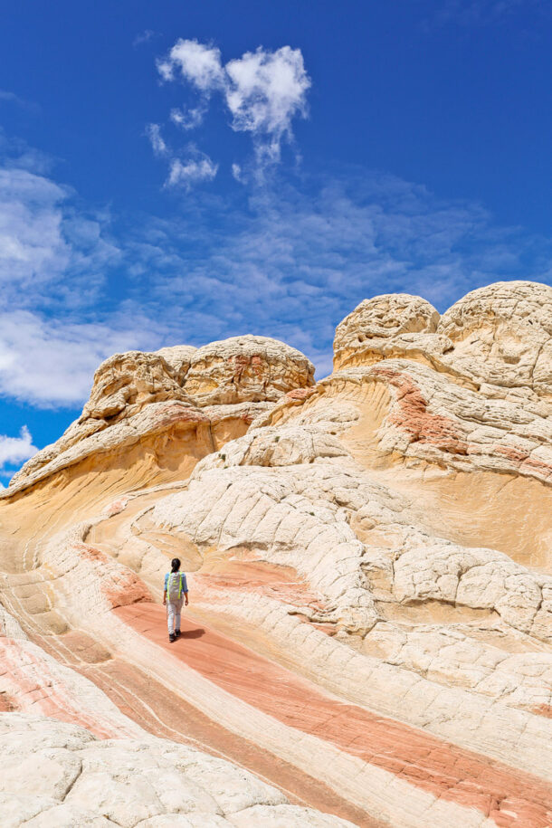 White Pocket Arizona vs the Wave. Which is Better?