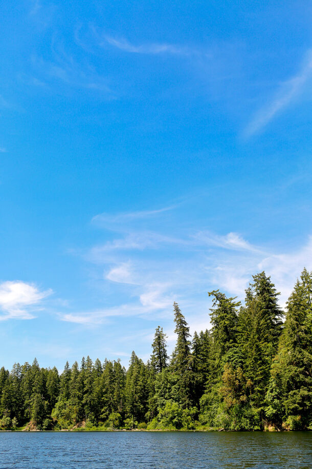 Quiet Getaway in the Oregon Woods - Loon Lake Lodge and RV Resort