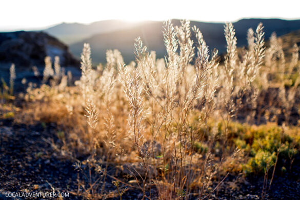 11 Unique Things to Do in Fallon Nevada » Local Adventurer