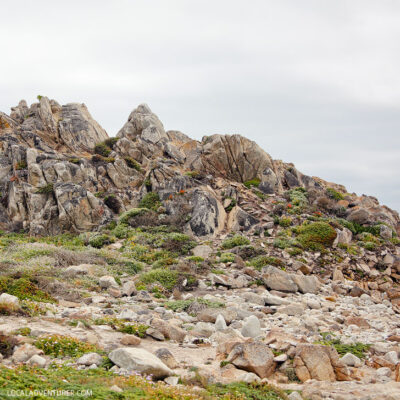 A Quick Guide to the 17 Mile Drive Monterey + Trip Giveaway