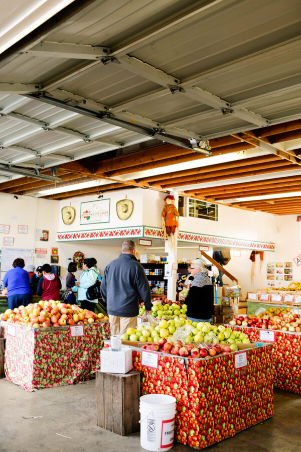 Apple Picking in the Hood River Fruit Loop Oregon