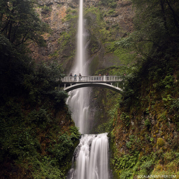 21 Best Hikes in the Columbia River Gorge Oregon » Local Adventurer