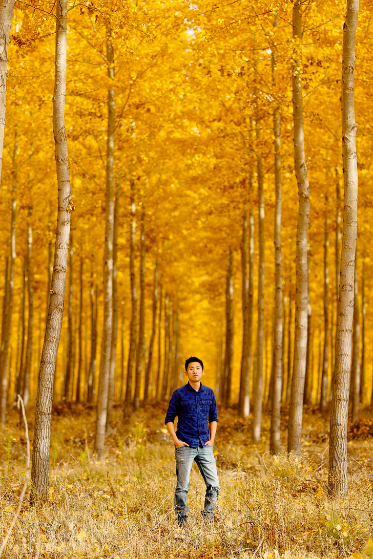 Last Chance to See the Autumn Colors of the Boardman Tree Farm