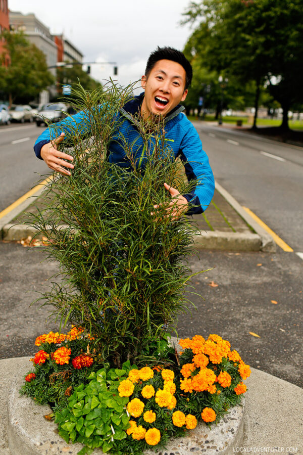 The Smallest Park in the World - Mill Ends Park Portland Oregon