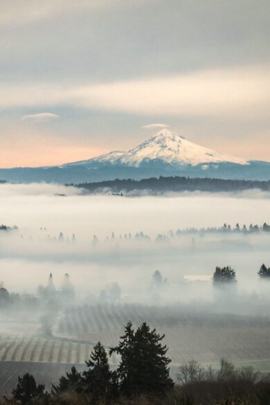 15 Best Day Trips from Portland Oregon ⤁ Exploring Portland + Beyond