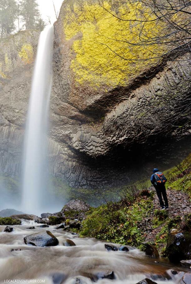 21 Best Hikes in the Columbia River Gorge Oregon » Local Adventurer