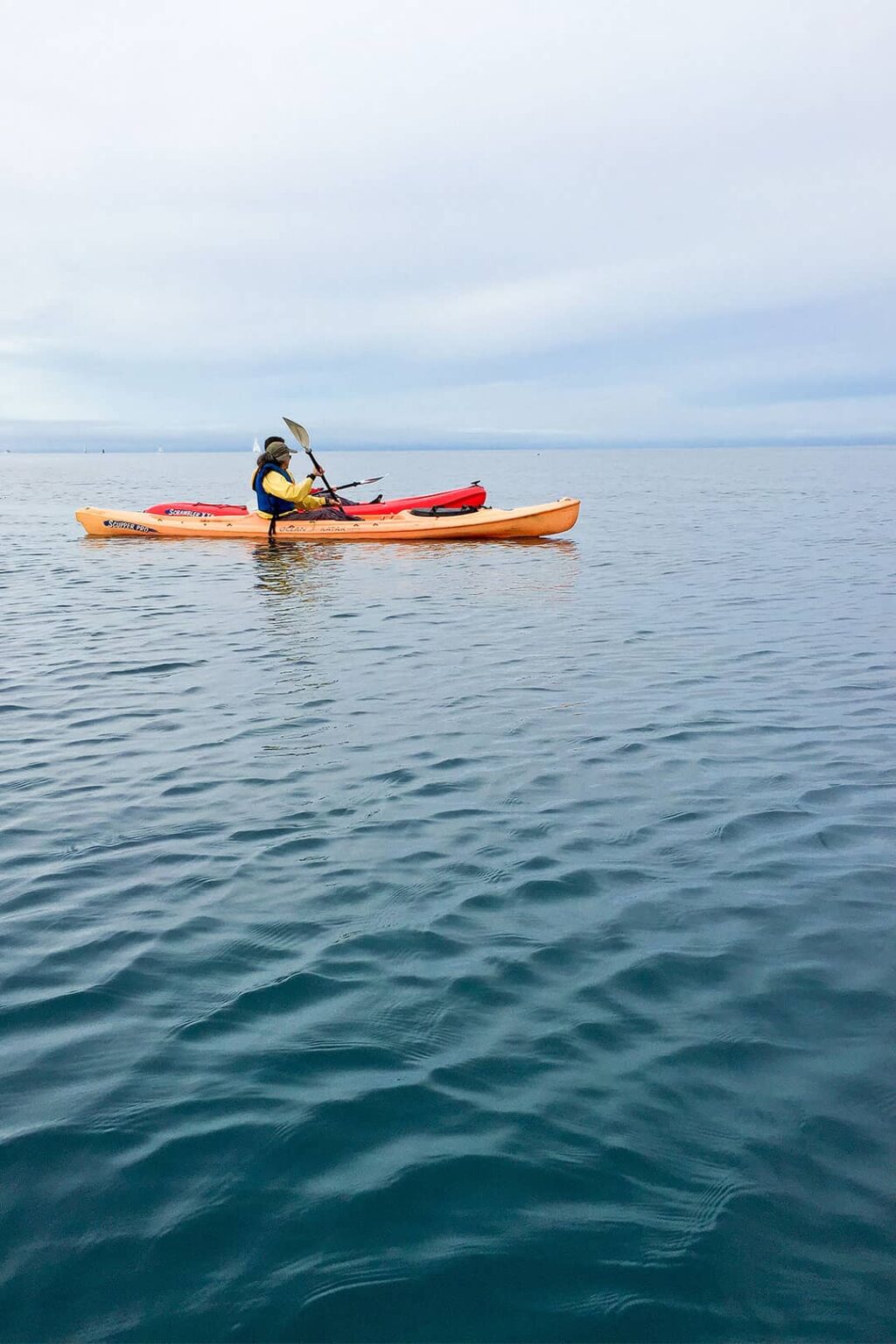 15 Amazing Things to Do in Monterey California » Local Adventurer