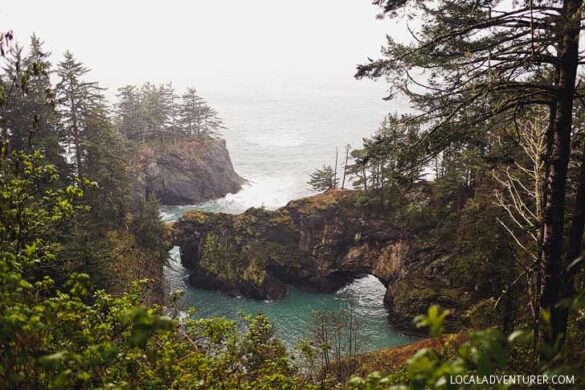 The Ultimate Guide to Samuel H Boardman State Scenic Corridor