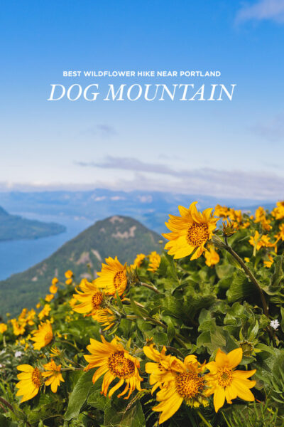 Dog Mountain Hike Washington - Best Wildflowers Near Portland Oregon