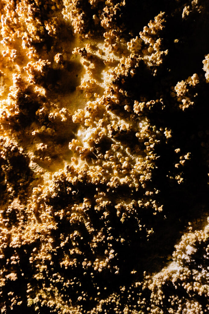 Lehman Caves Tours Great Basin National Park - What You Need to Know