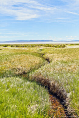 Alvord Desert Oregon - What You Need to Know Before You Go