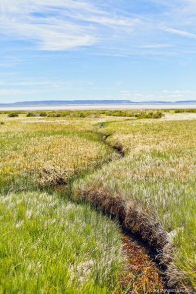 Alvord Desert Oregon - What You Need to Know Before You Go