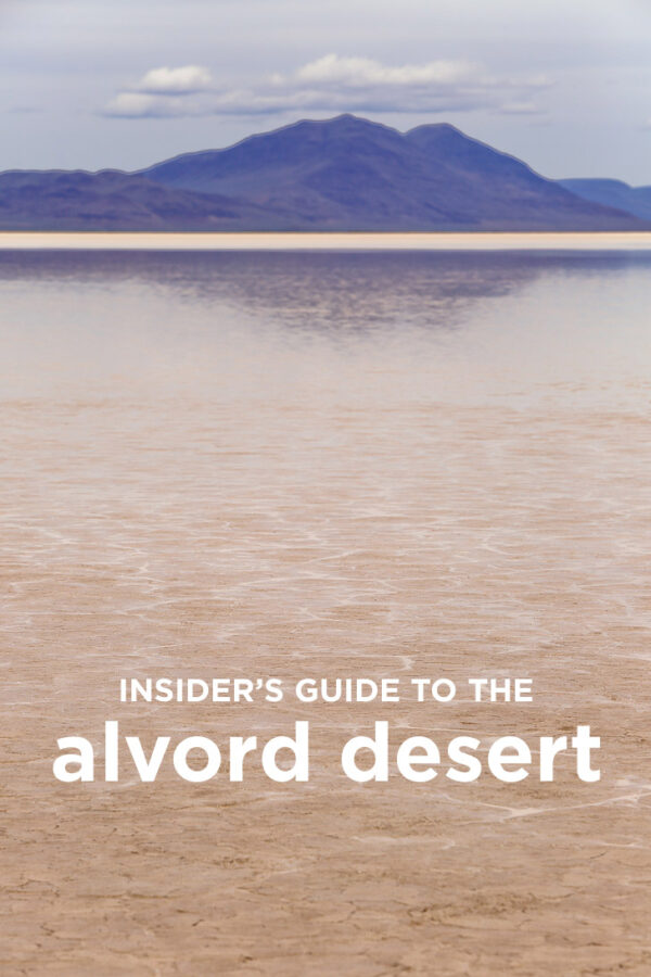 Alvord Desert Oregon - What You Need to Know Before You Go