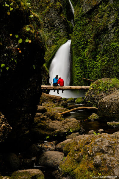 21 Best Hikes in the Columbia River Gorge Oregon » Local Adventurer