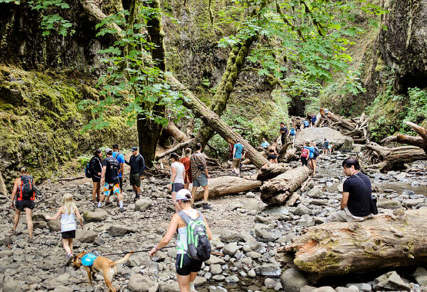 The Oneonta Gorge Hike to Lower Oneonta Falls » Local Adventurer