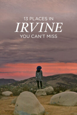 The Local Guide to the Best Things to Do in Irvine California