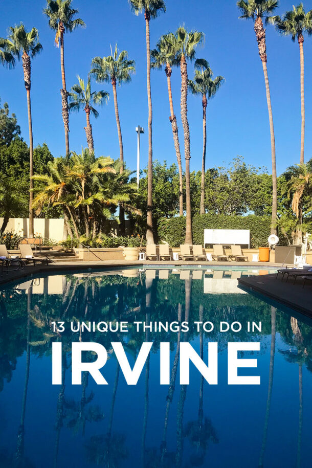 The Local Guide to the Best Things to Do in Irvine California