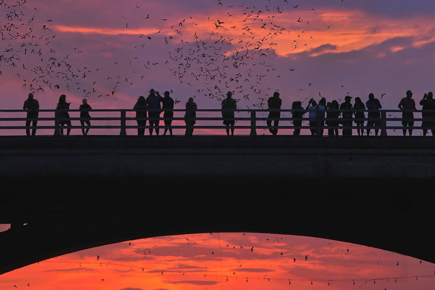 101 Things to Do in Austin Bucket List