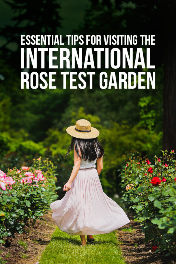 International Rose Test Garden in the City of Roses