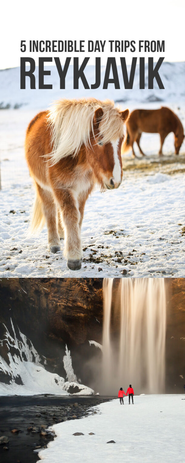 5 Epic Day Trips from Reykjavik Iceland You Can't Miss » Local ...