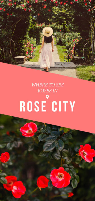 Where to Find Roses in Portland Oregon aka Rose City » Best Rose ...