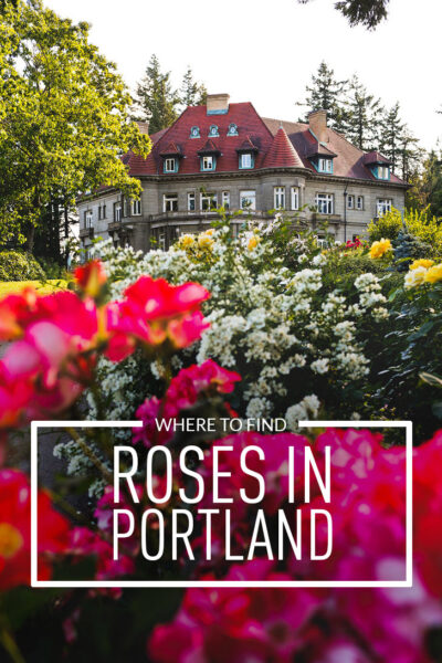 Where to Find Roses in Portland Oregon aka Rose City » Best Rose ...