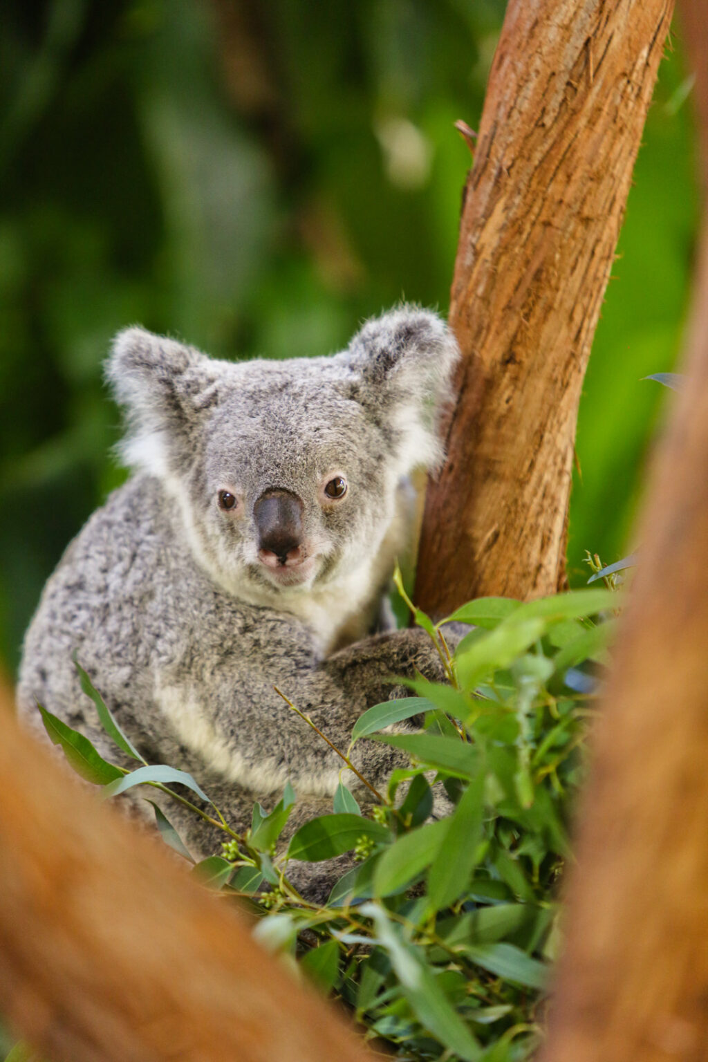 15 Fun Things to Do in Columbia SC that You Can't Miss