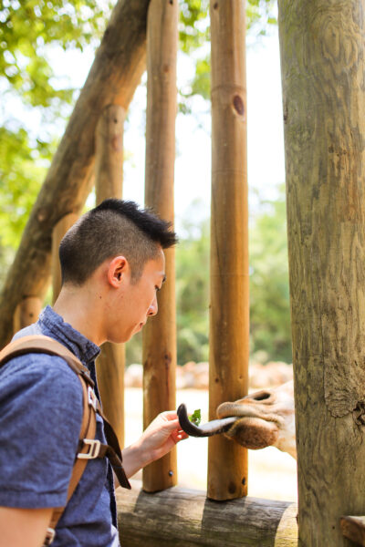 15 Fun Things to Do in Columbia SC that You Can't Miss