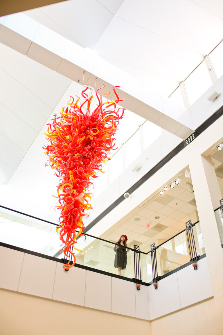 15 Fun Things to Do in Columbia SC that You Can't Miss