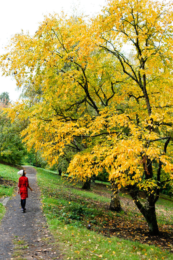 17 Stunning Road Trip Destinations for the Best Fall Foliage in the USA