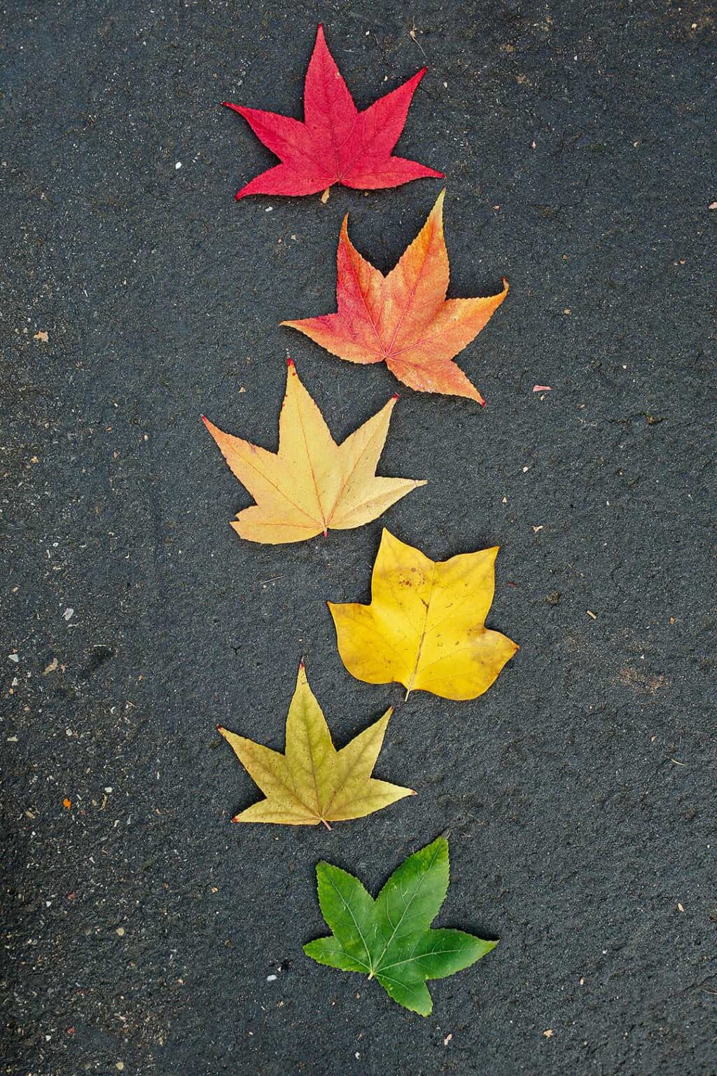 15 Best Places to Visit in October in USA » Local Adventurer