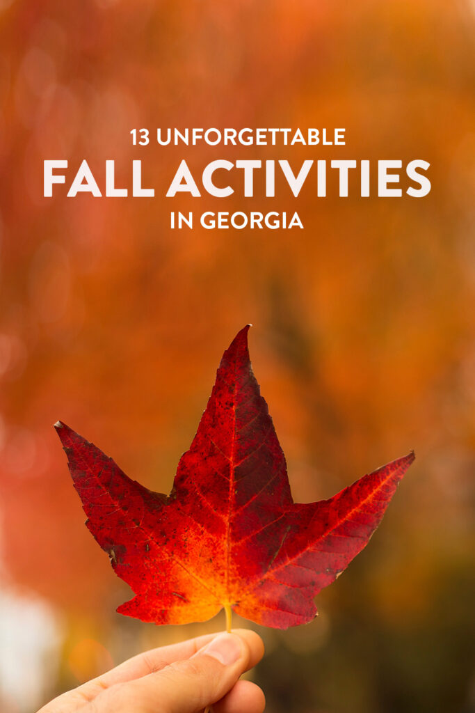 11 Unforgettable Fall Activities and Pumpkin Patches in Georgia