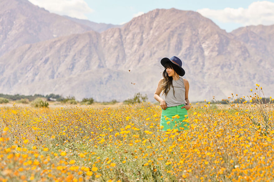 11+ Beautiful California Flower Fields You Must Visit This Spring