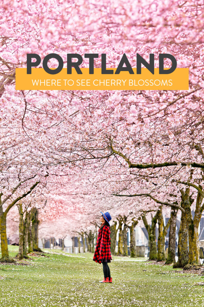 Best Places to See Cherry Blossoms in Portland Oregon » Local ...