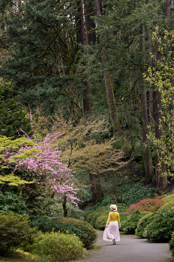 Best Places to See Cherry Blossoms in Portland Oregon » Local ...