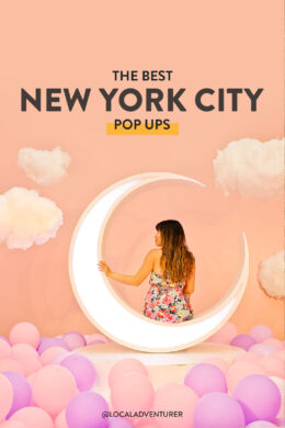 Your Essential Guide to the Best NYC Pop Ups » Local Adventurer
