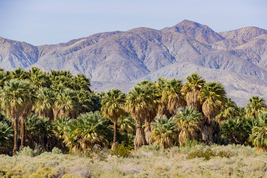 15 Unforgettable Things to Do in Palm Springs California