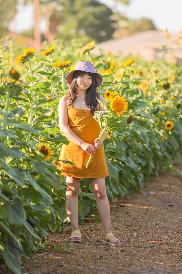 Gilcrease Orchard in Las Vegas - What You Need to Know » Local Adventurer