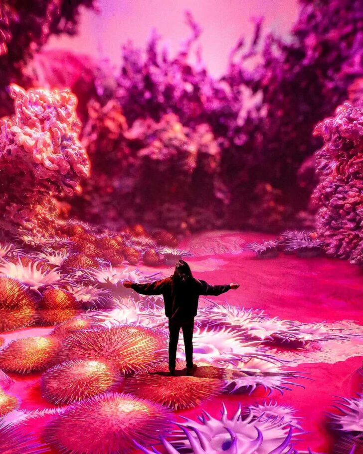 Your Essential Guide to the Best NYC Pop Ups » Local Adventurer