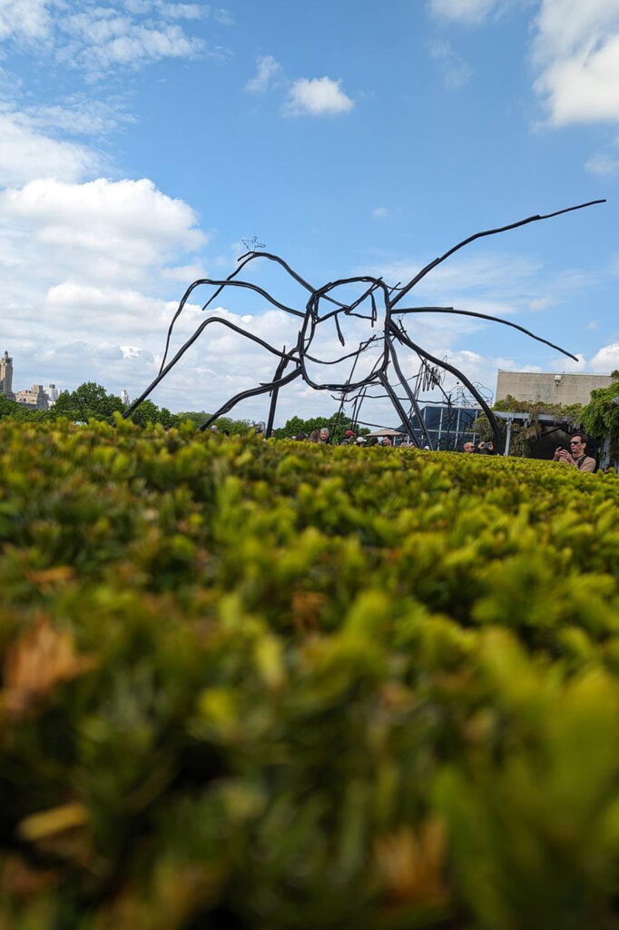 Your Essential Guide to the Best NYC Pop Ups » Local Adventurer