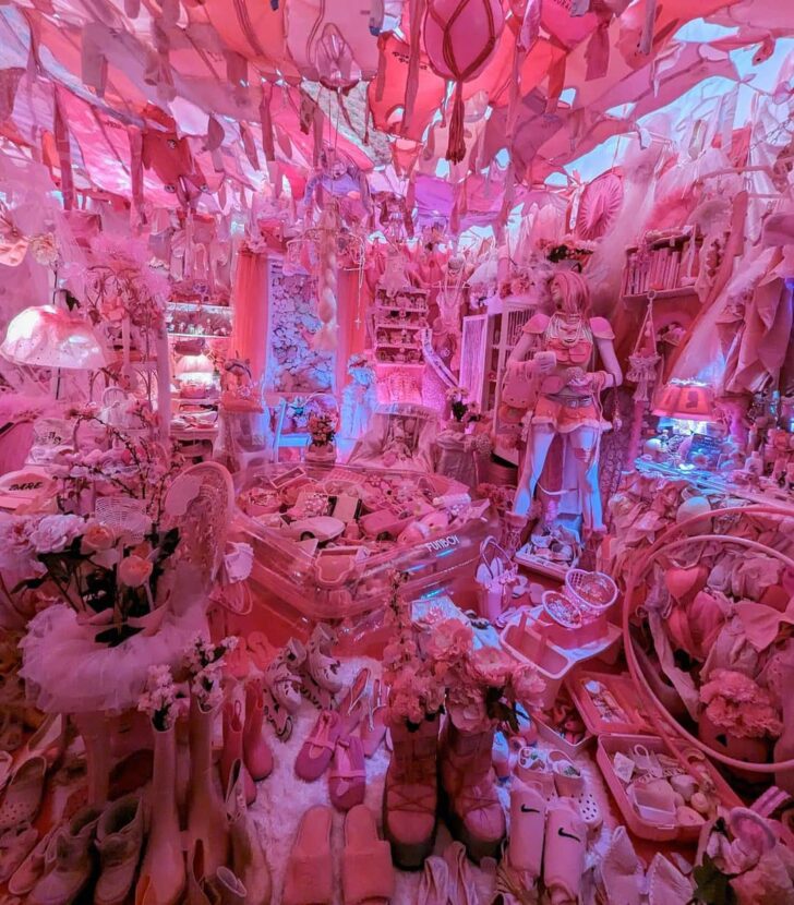 Your Essential Guide to the Best NYC Pop Ups » Local Adventurer