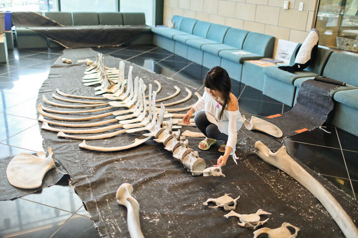 25 Unforgettable Things to Do in Newfoundland » Local Adventurer