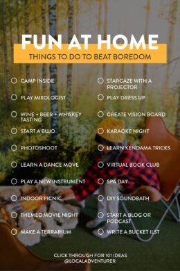101 Fun Things to Do at Home While Social Distancing » Local Adventurer