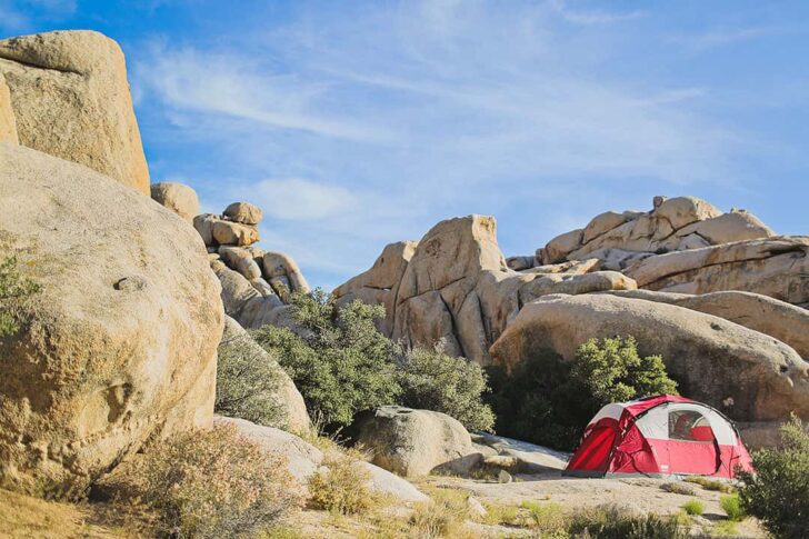 Joshua Tree Camping - What You Need to Know » Local Adventurer