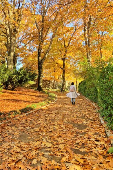 15 Best Places to Visit in November in USA » Local Adventurer